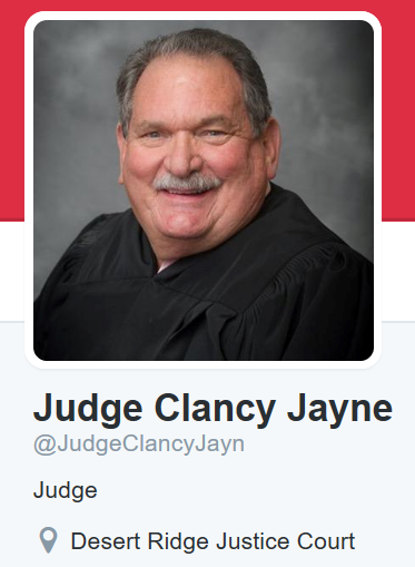 Independence of Representation in Court and Judicial Accountability in ...