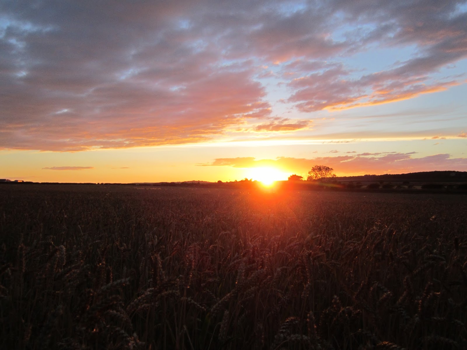 coastrider: Midweek Cycling; Sunset cycle...