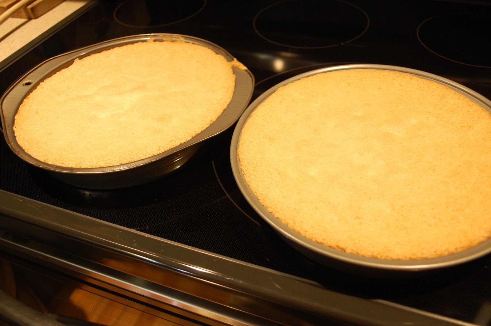 A Peek into the Pantry: Josefina's Apricot Sponge Cake