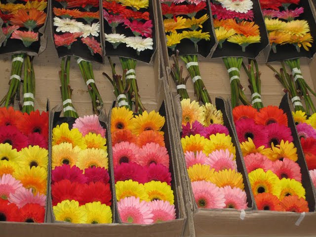 .: Bekalan Bunga Segar