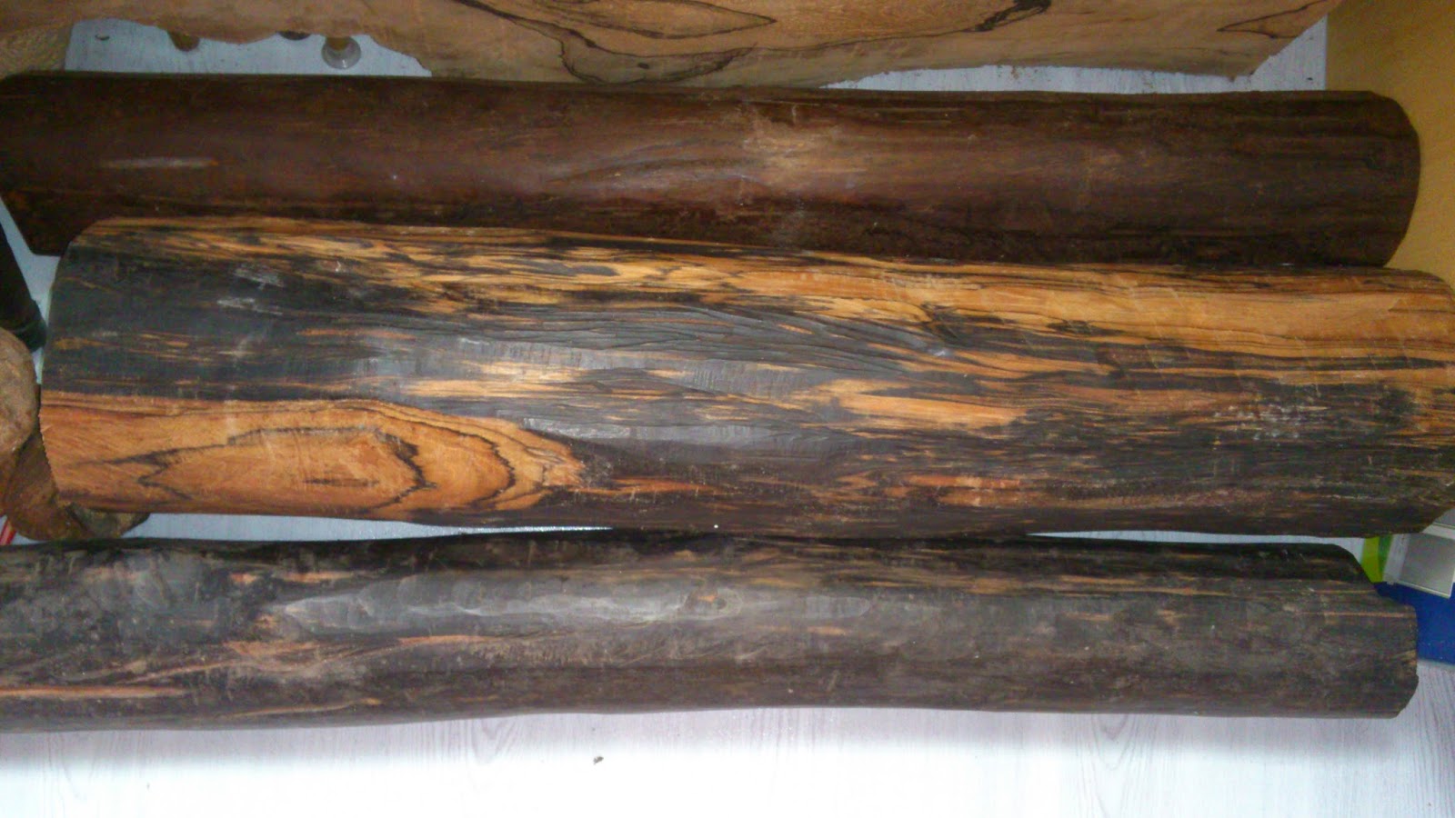 ZAMRUD TECHNOLOGY: Telah dipos.....Teras Kemuning Hitam, Kayu Malam ...