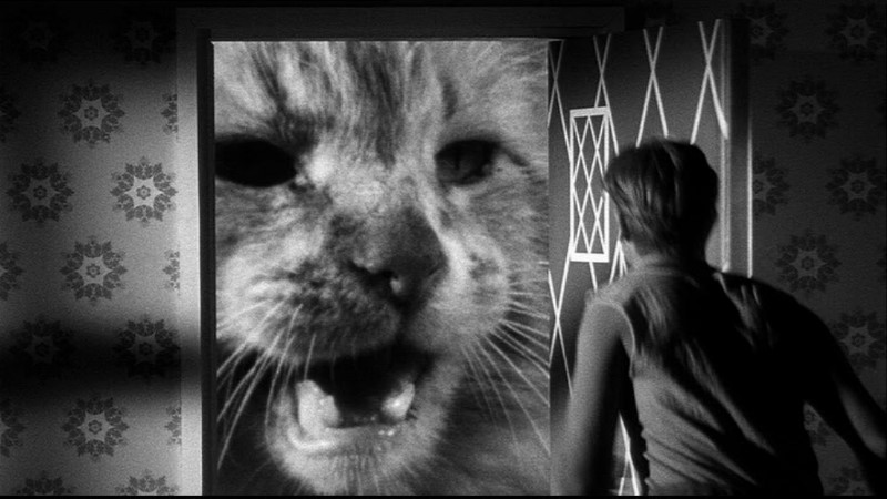 SNEAK PEEK : "The Shrinking Man": Worlds Within Worlds