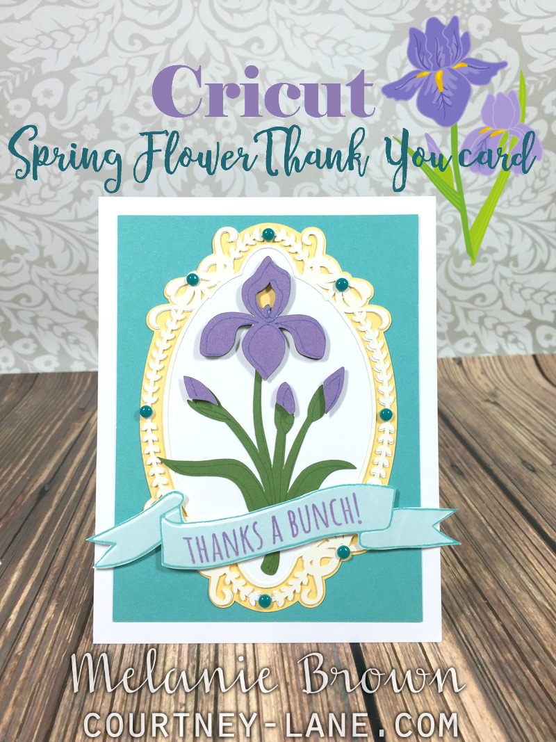 Courtney Lane Designs: Cricut Spring Flower Thank you card