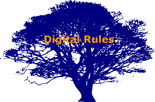 The Monthly “100 Digital Rules” Book Tuning: Digital Rules and ...
