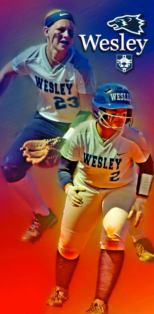 Wesley Wolverines Fastpitch Softball: TEAM USA 2018