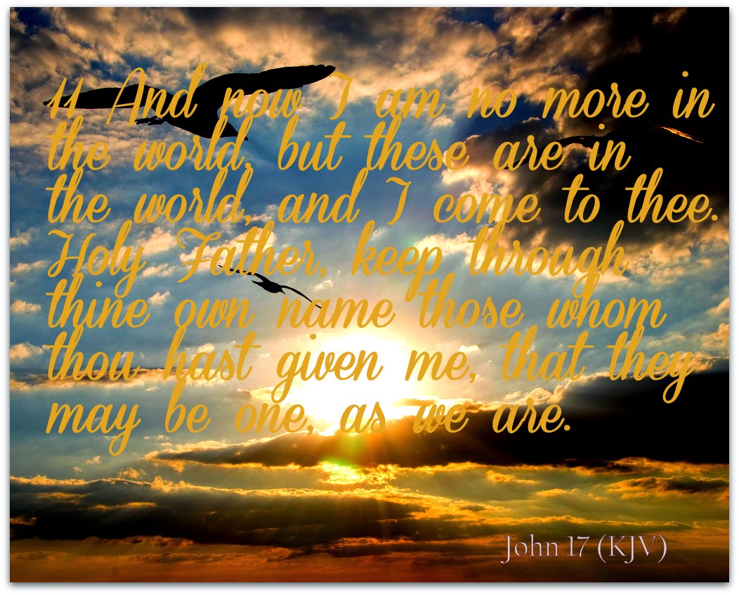 Red Pill Diaries: John 17 (KJV)