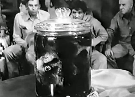 John Kenneth Muir's Reflections on Cult Movies and Classic TV: The Cult ...