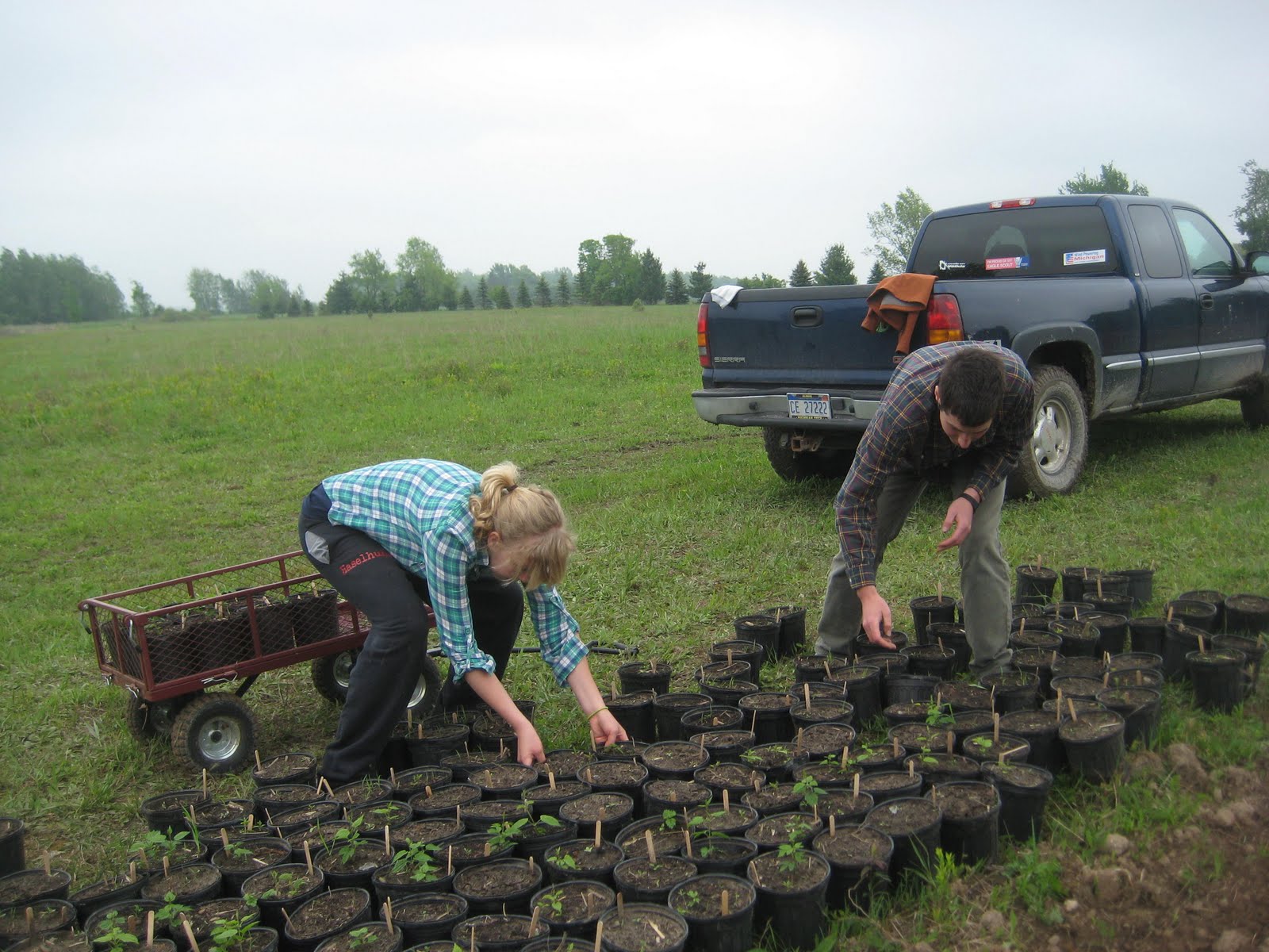 Michigan Hops Farm: Planting Day