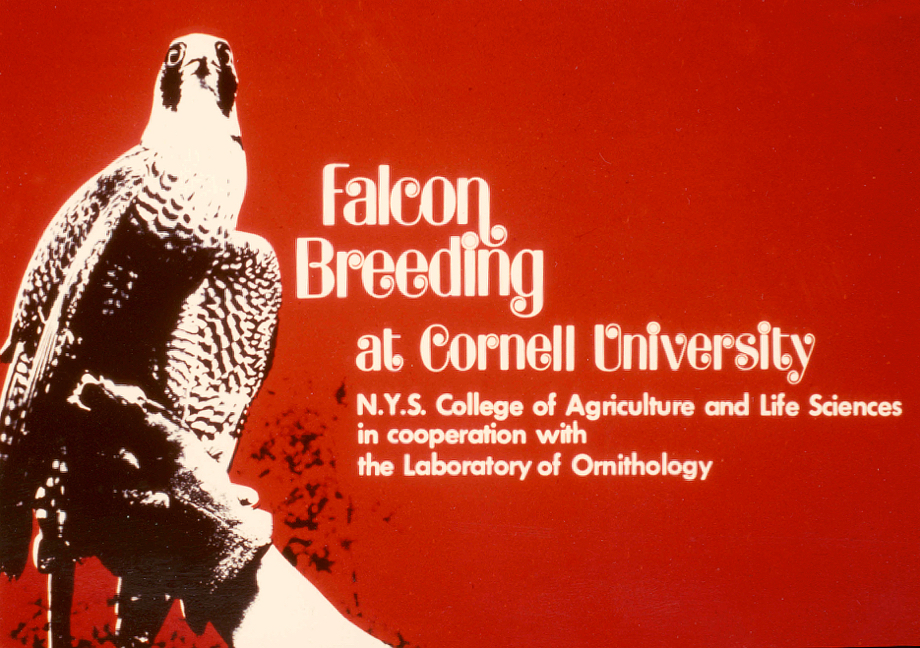 Imperial Dreams: Remembering Tom Cade