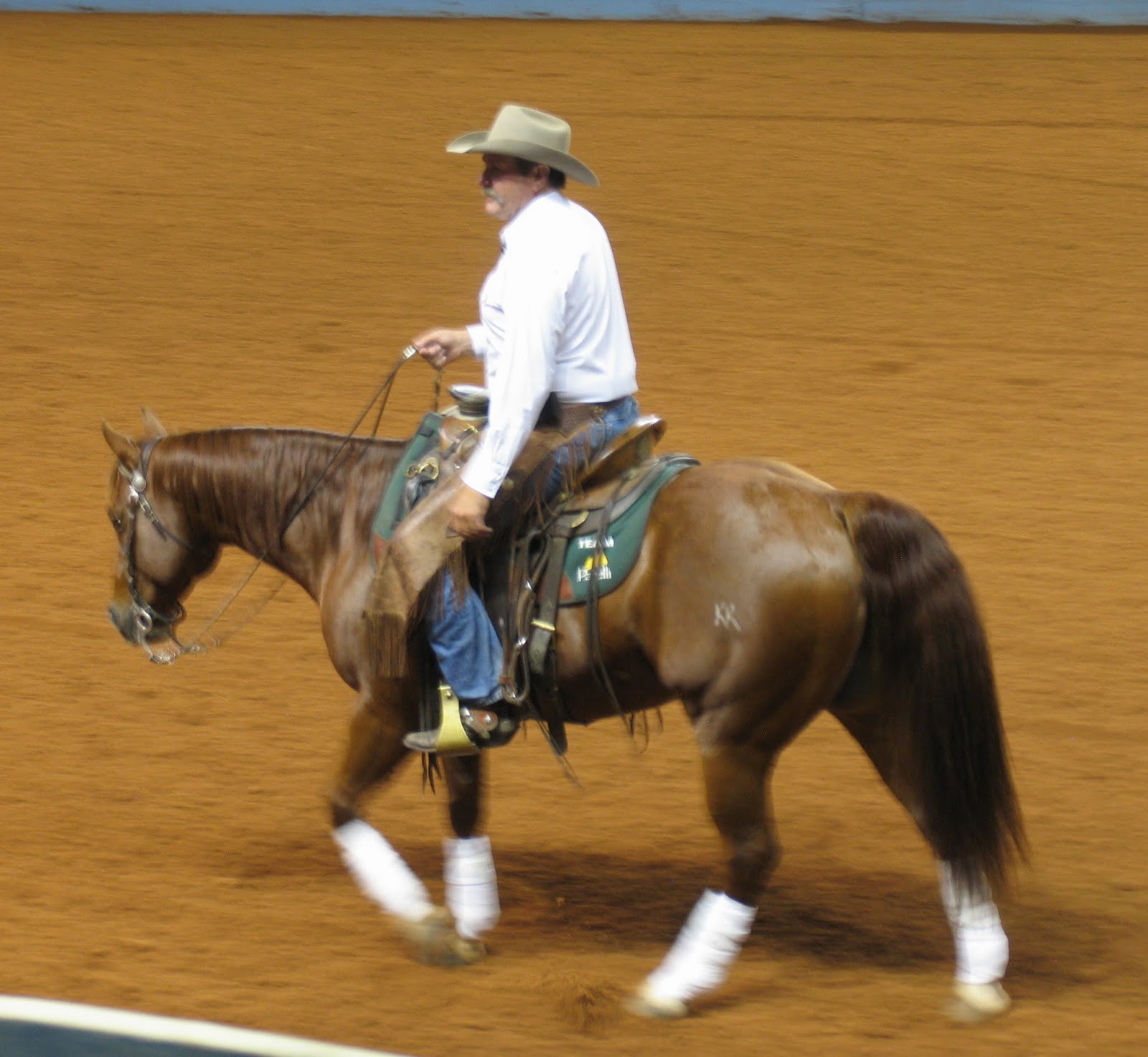 My All Around Cowgirl Life: AQHA World Horse Show 2012 Pat Parelli demo