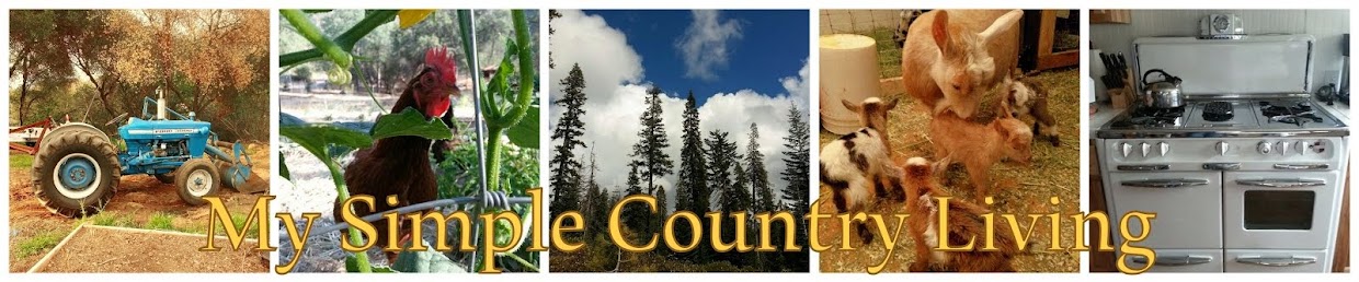 My Simple Country Living