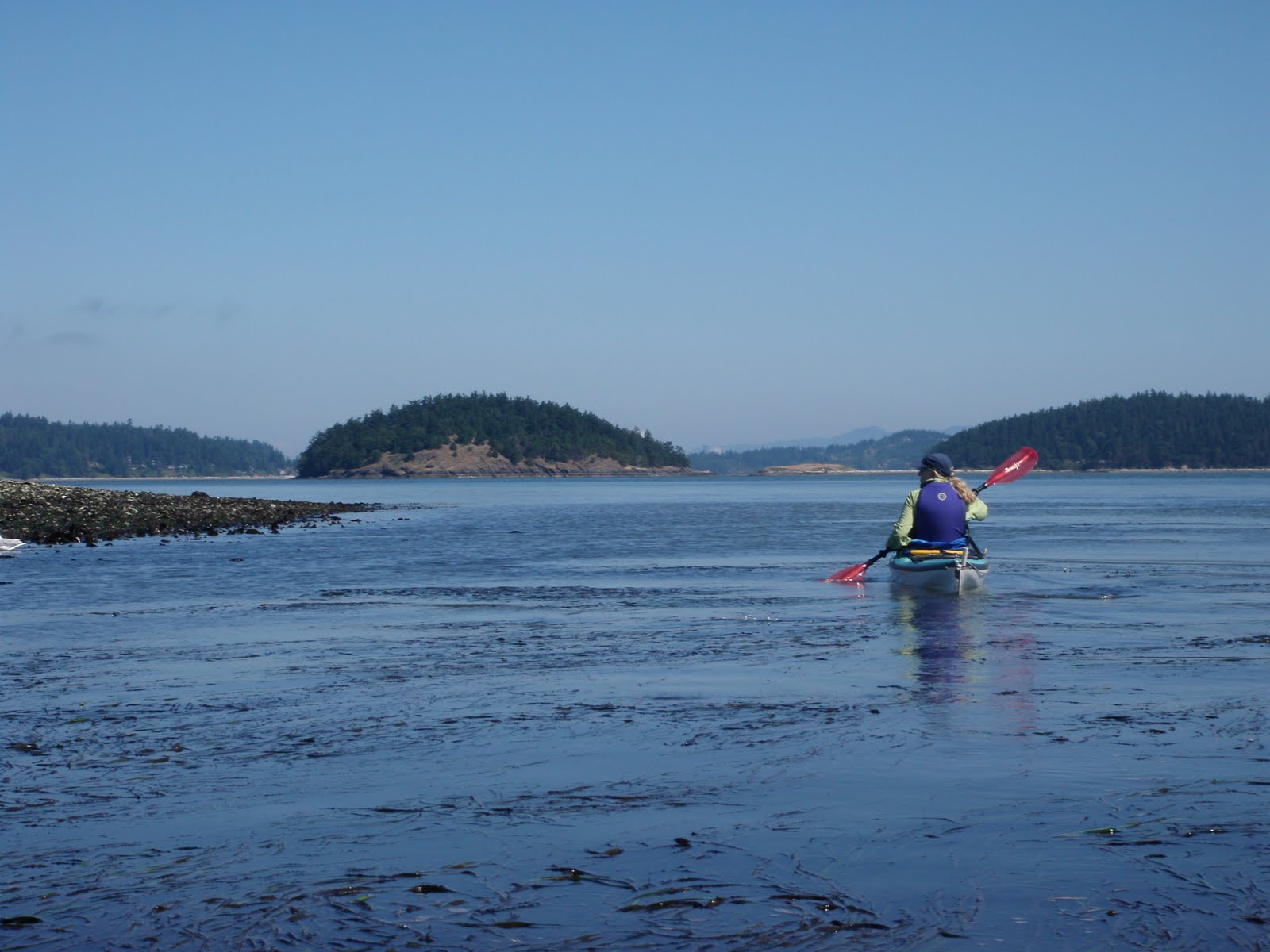 Pacific Northwest Seasons: Sea Kayaking Northern Skagit Bay: Seals ...