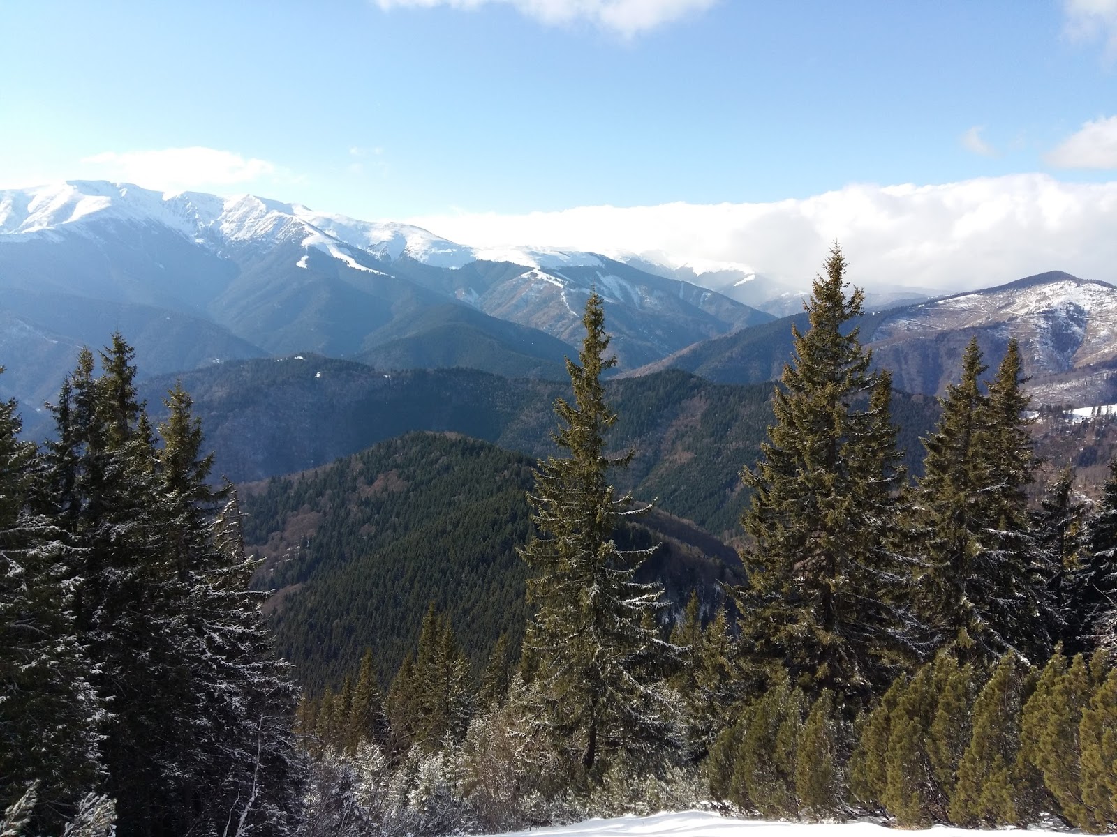 Piatra Craiului vazuta de la Cabana Valea lui Ivan