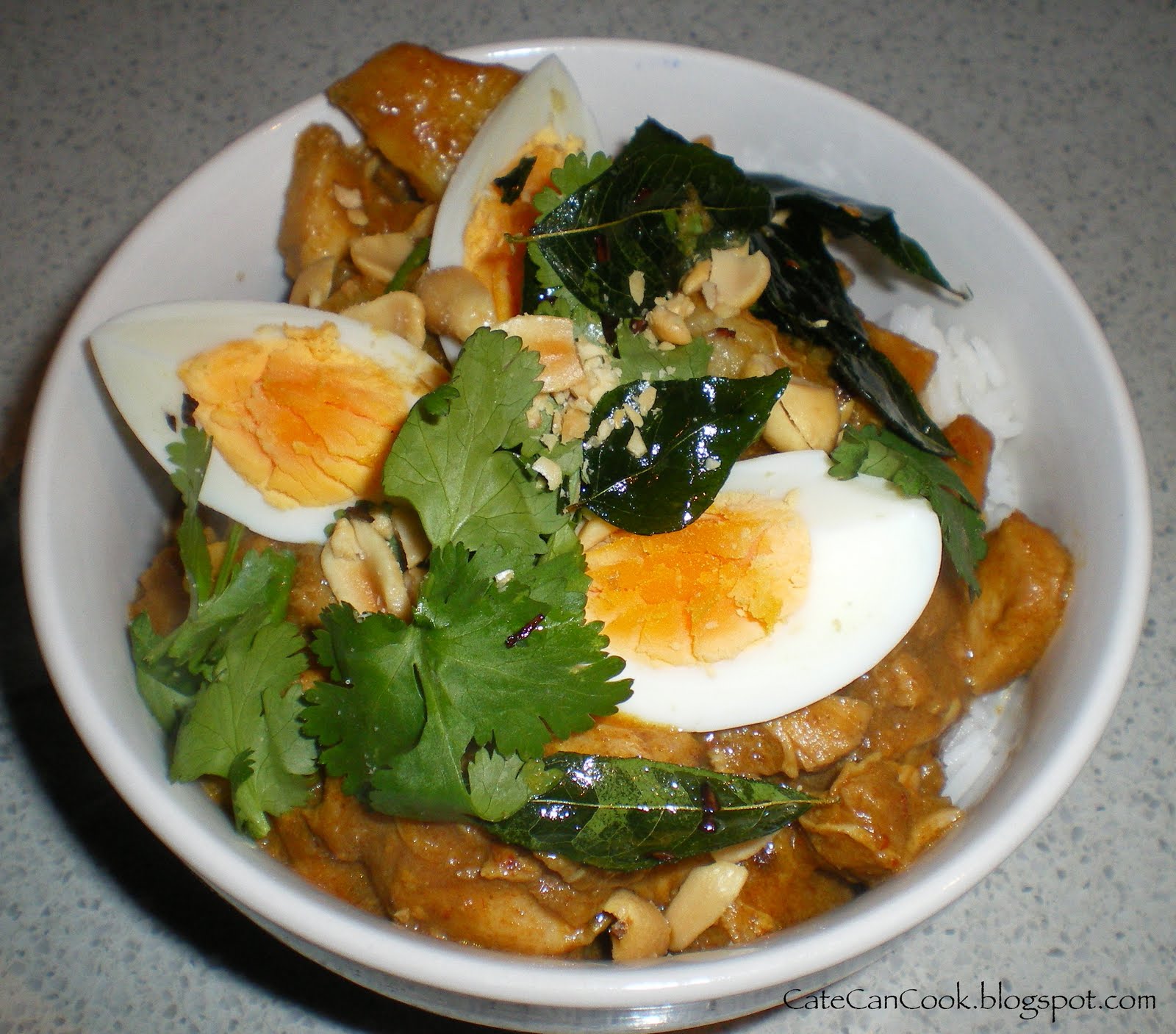 Cate Can Cook, So Can You!!: Malaysian Chicken Curry with home made ...