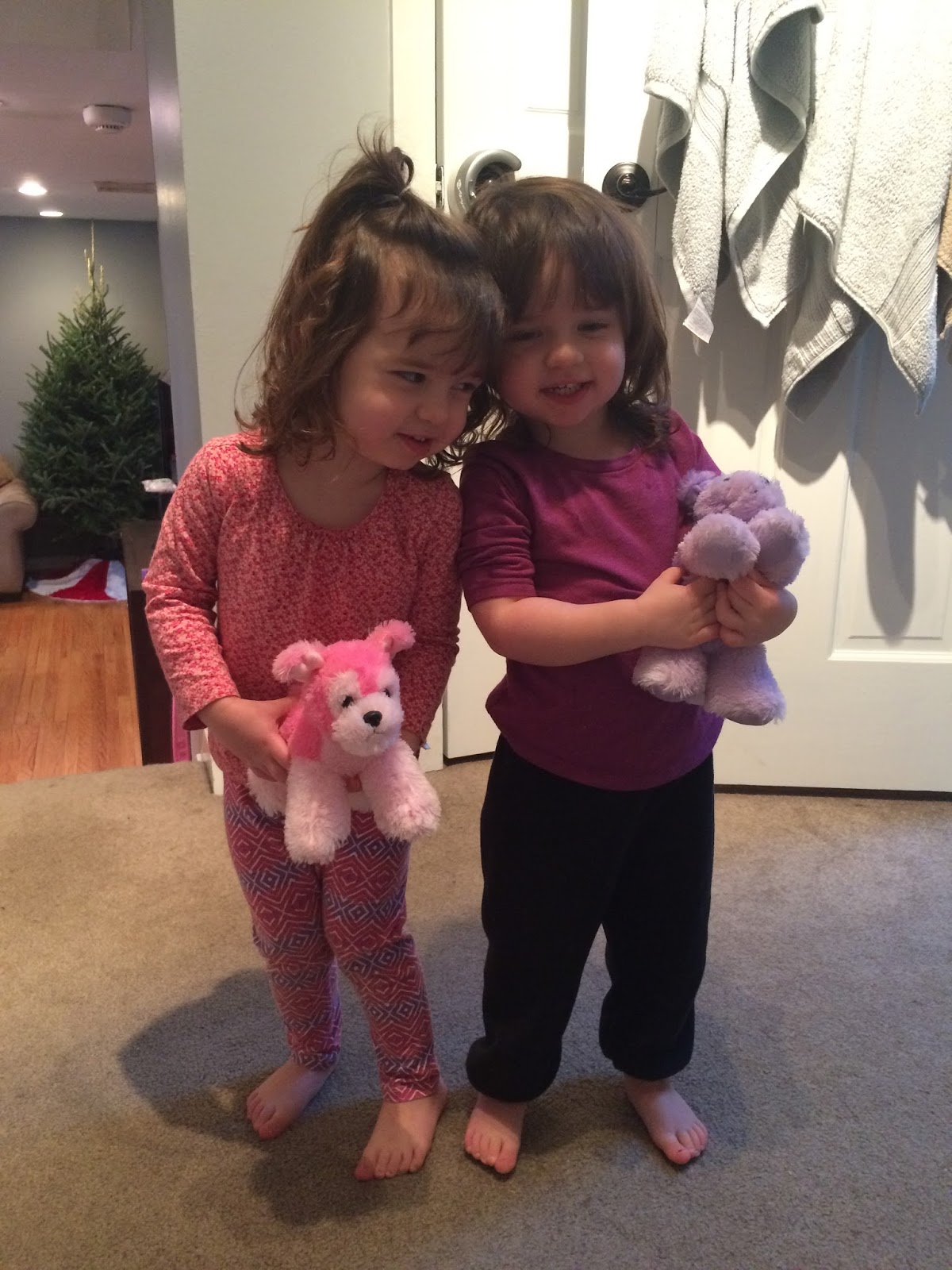 Potty Training Twin Girls - Leading the Double Life