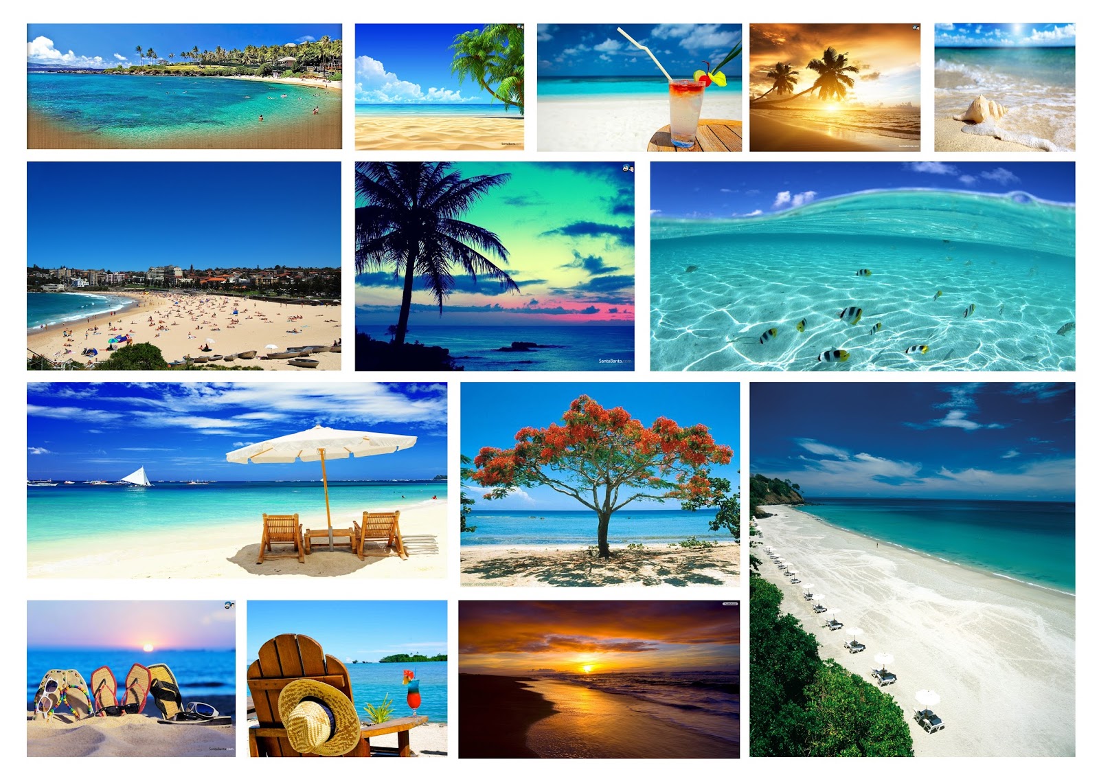 Studio Beach Clean: Mood Boards and Colour swatches