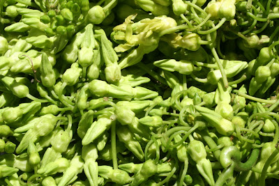 Living with Nature - School on Blog by Dr. Abercio V. Rotor: January 2016