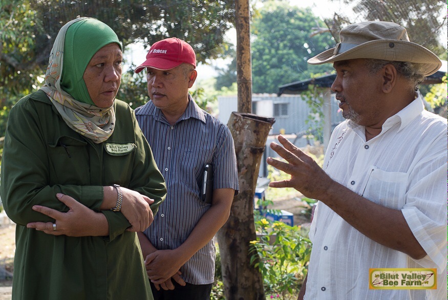 Bilut Valley Bee Farm - Stingless Beefarming: June 2015