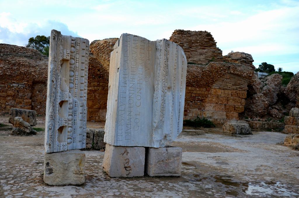 GEOGRAFÍA E HISTORIA: LA CIUDAD DE CARTAGO (TÚNEZ)