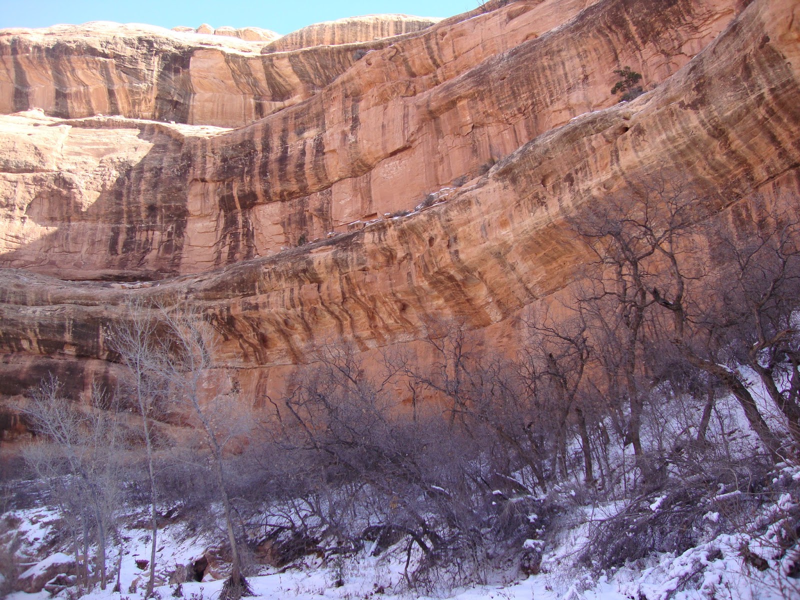 BEARS EARS: KANE GULCH