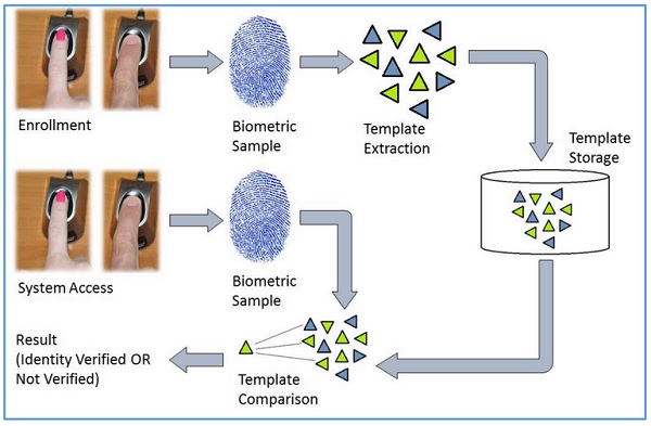 Howto Guides Software Tutorials Biometrics Overview Howto Guides Software Tutorials Biometrics Overview