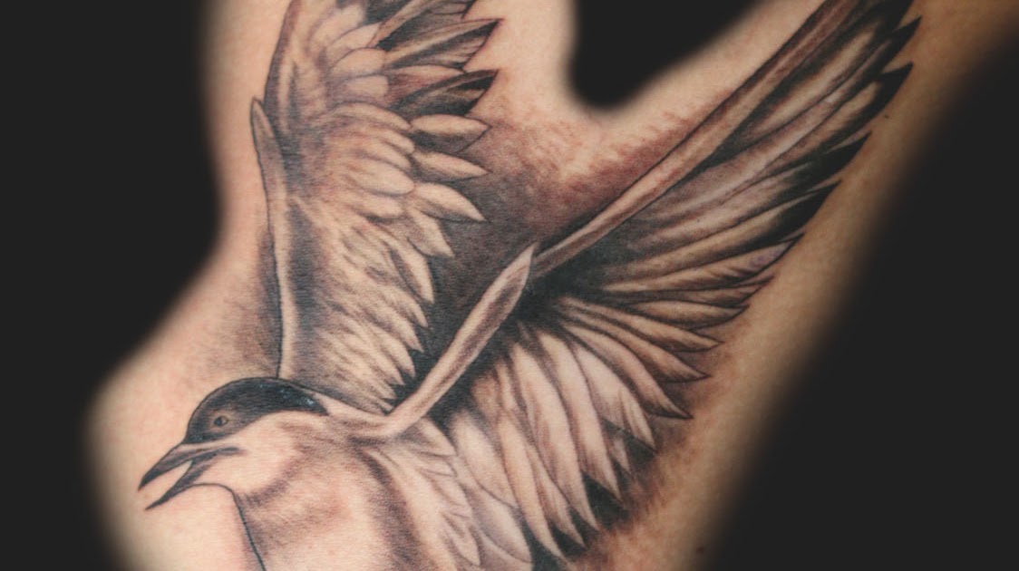 Arctic Tern Tattoo