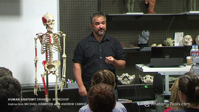 AnatomyTools.com: On-Site Workshop Photo albums: Michael Hampton ...