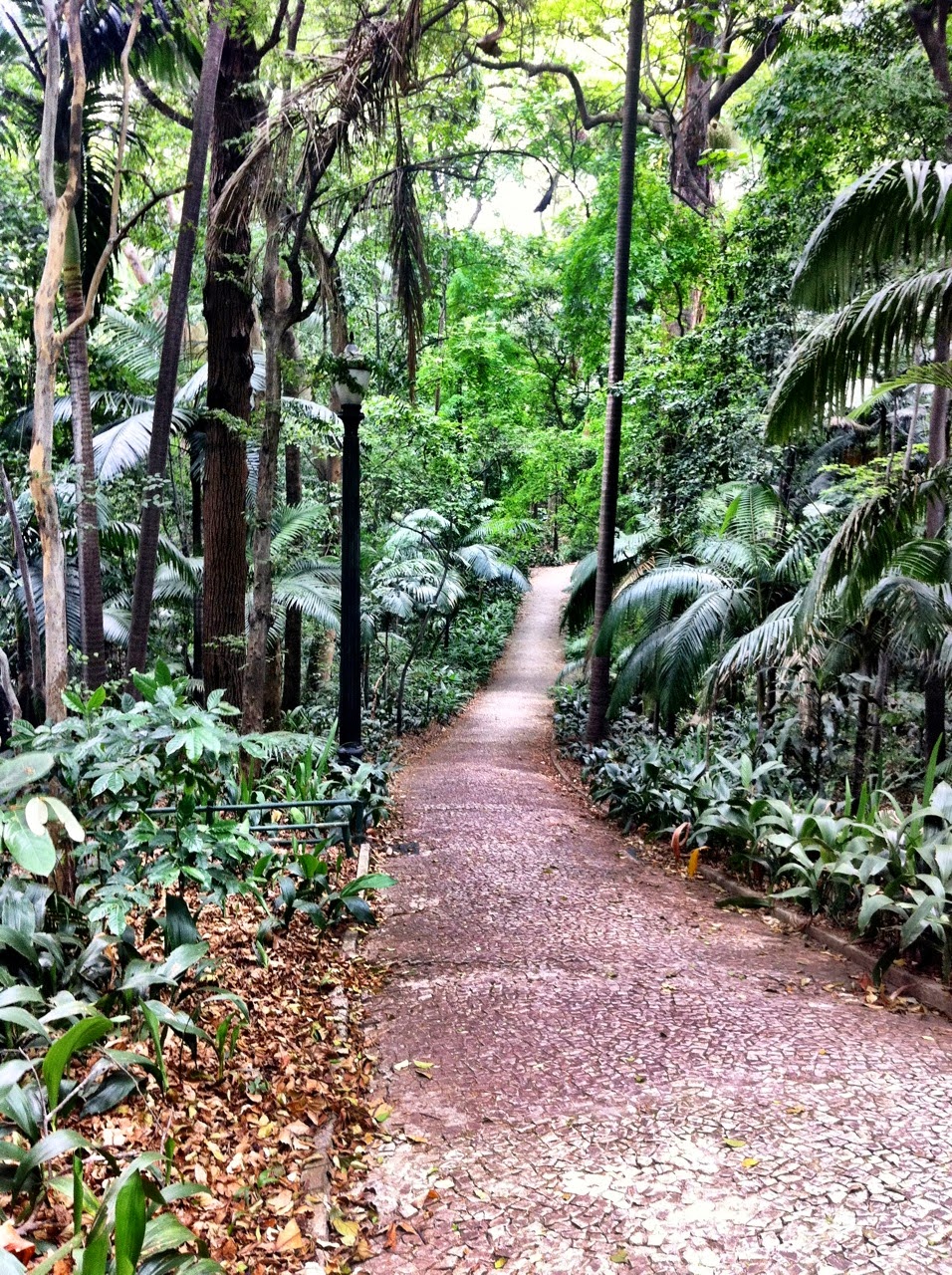 Parque Trianon ou Tenente Siqueira Campos em São Paulo ~ Áreas Verdes ...