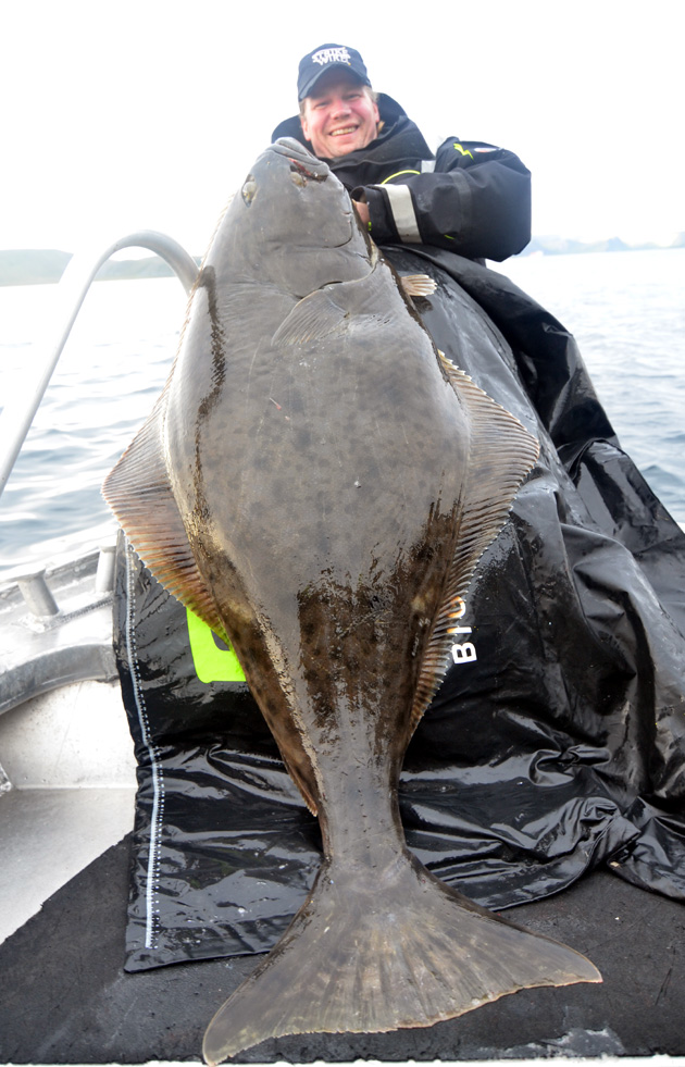 Catch With Care blog: Supervacker flundra | CWC - Catch With Care