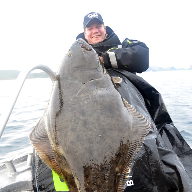 Catch With Care blog: Supervacker flundra | CWC - Catch With Care