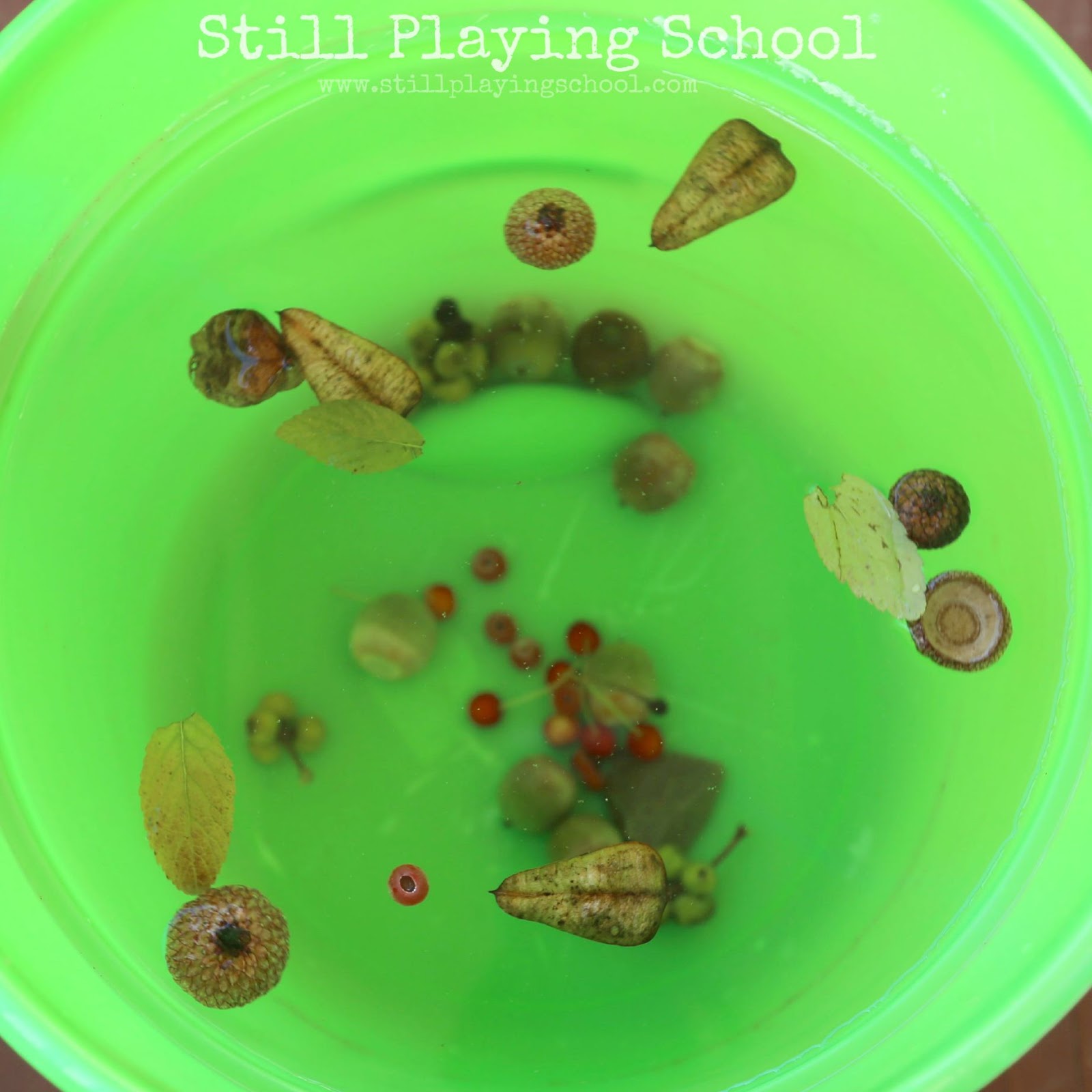 Witch's Brew: Fall STEM Sensory Play for Kids | Still Playing School