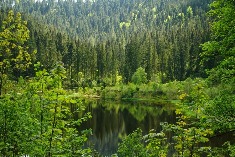 Appunti in viaggio: Sulla via della Foresta Nera, Germania
