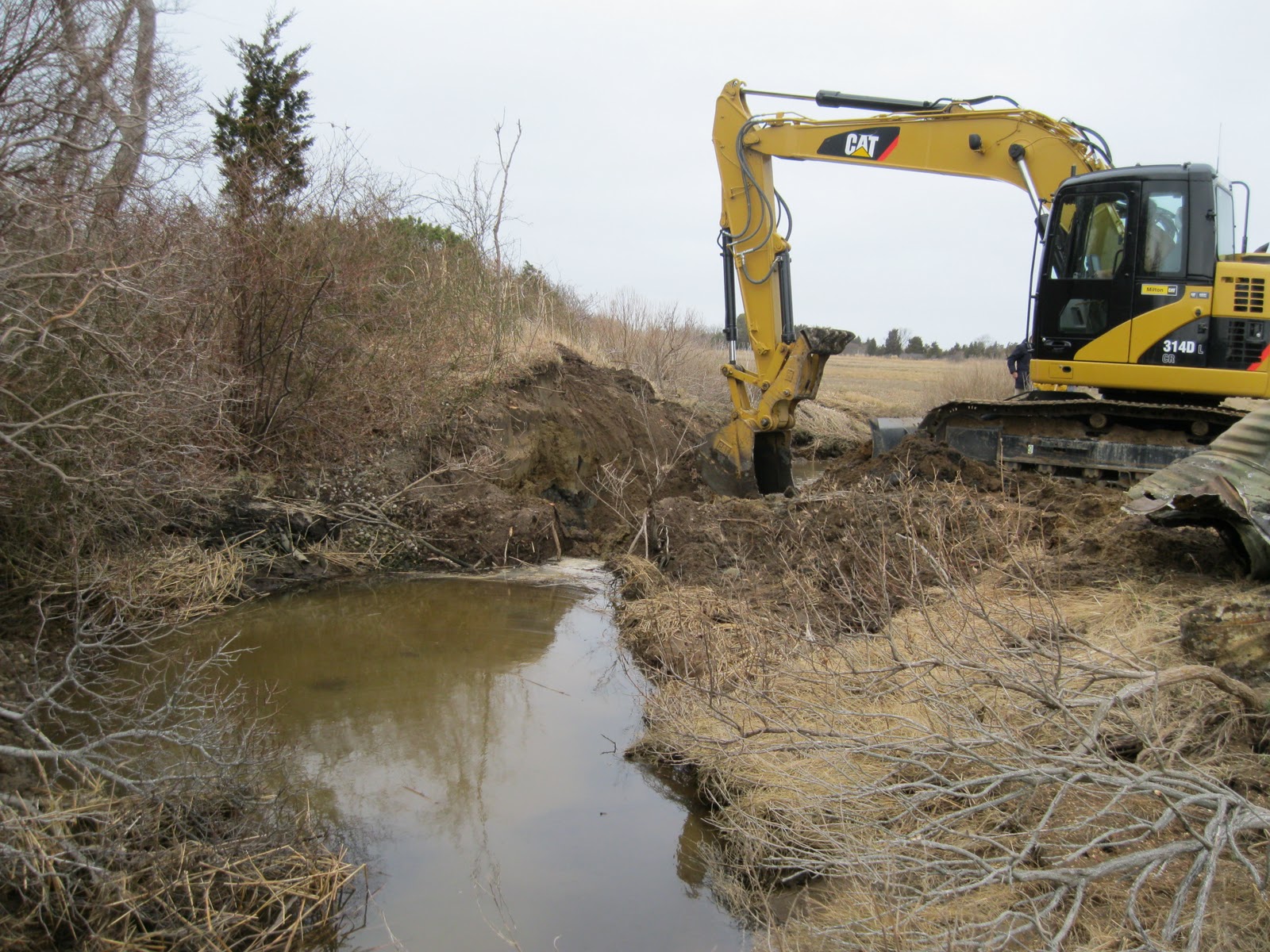 Cape Cod Water Resources Restoration Project: Sunken Meadow salt marsh ...