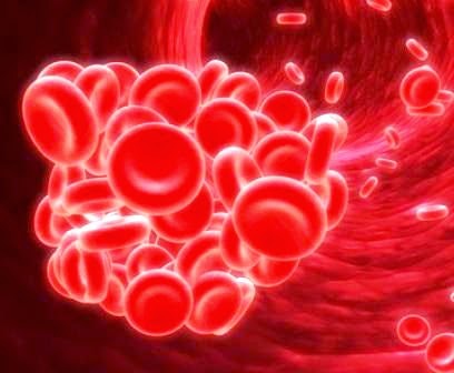 Pengertian Eritrosit dan Fungsi Eritrosit