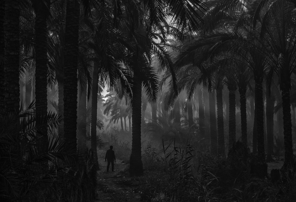 Egyptian Chronicles: Shawkan Photo awards 2016 : Egypt's best photos of ...