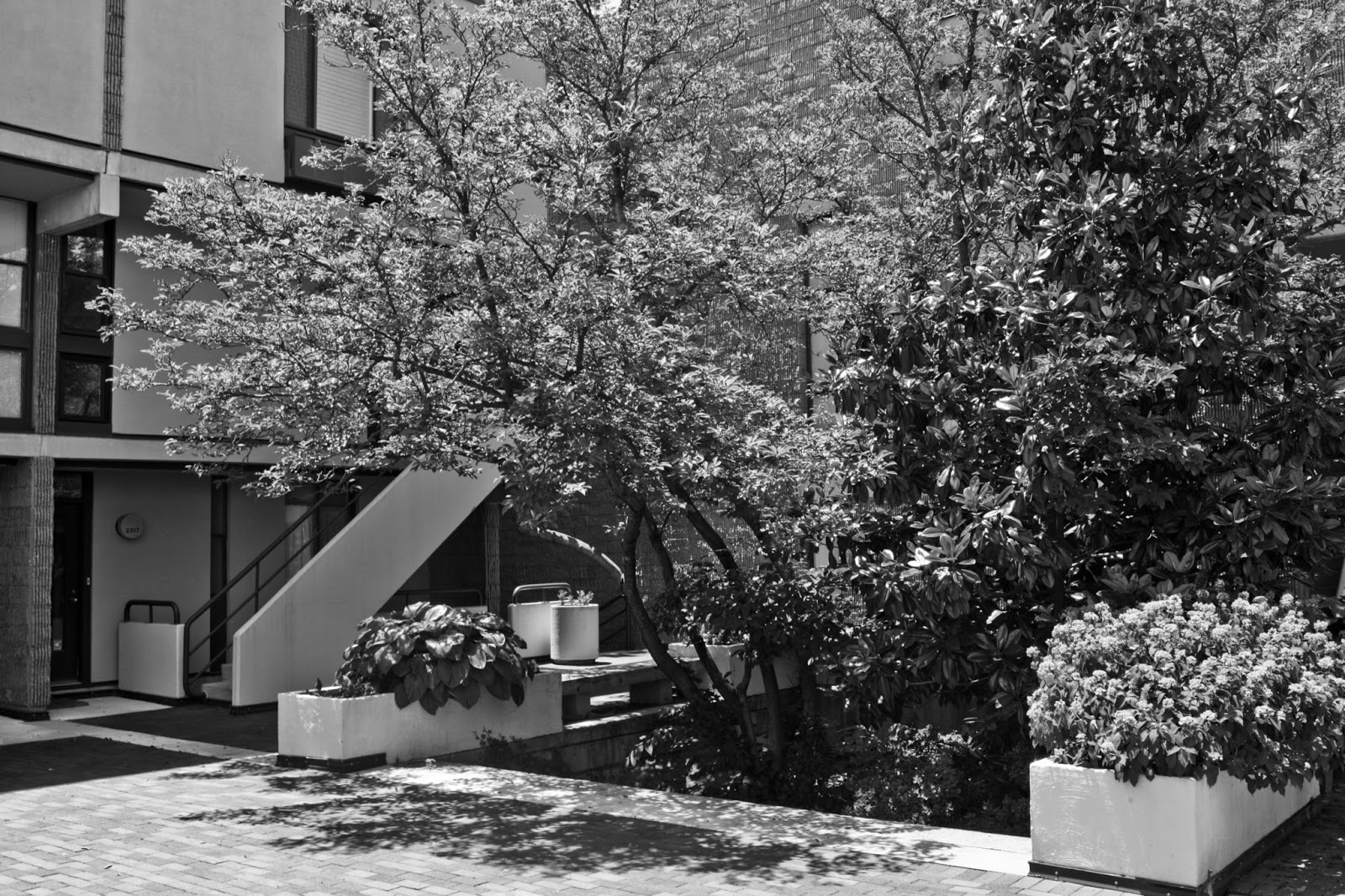 Mid-Century Maryland: Coldspring Newtown: Baltimore's Modern Oasis