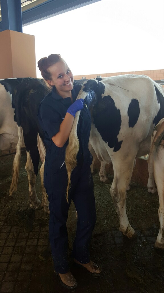 Ventures in Vet School