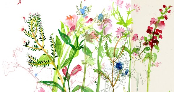 Firmamento cultural: Typography, de Emma Dibben