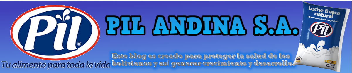 EMPRESA PIL ANDINA S.A.: HISTORIA