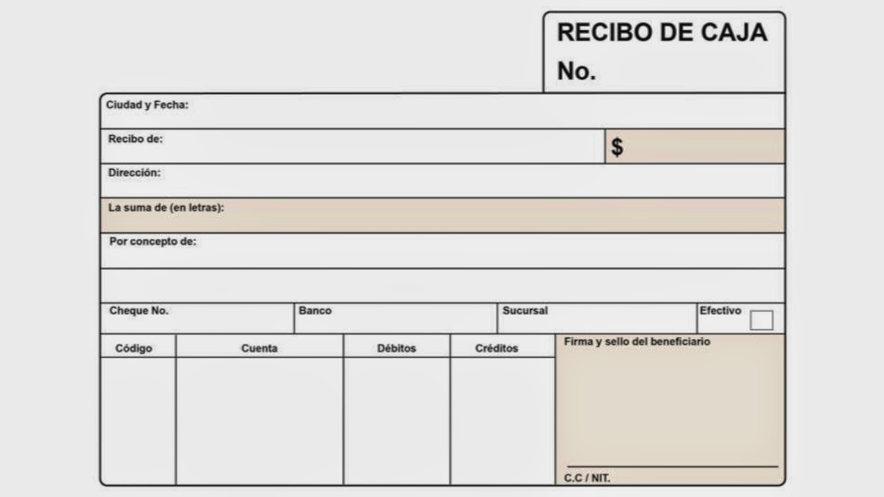 SOPORTES CONTABLES ~ organizaciones y empresas