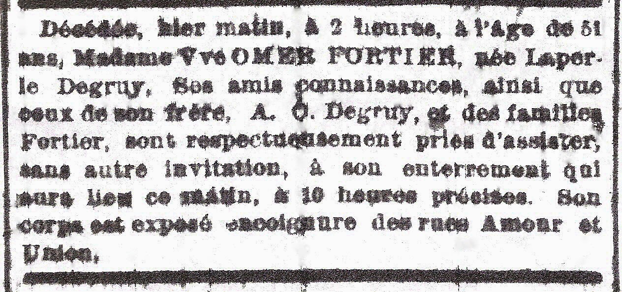 Climbing the Branches of My Family Tree