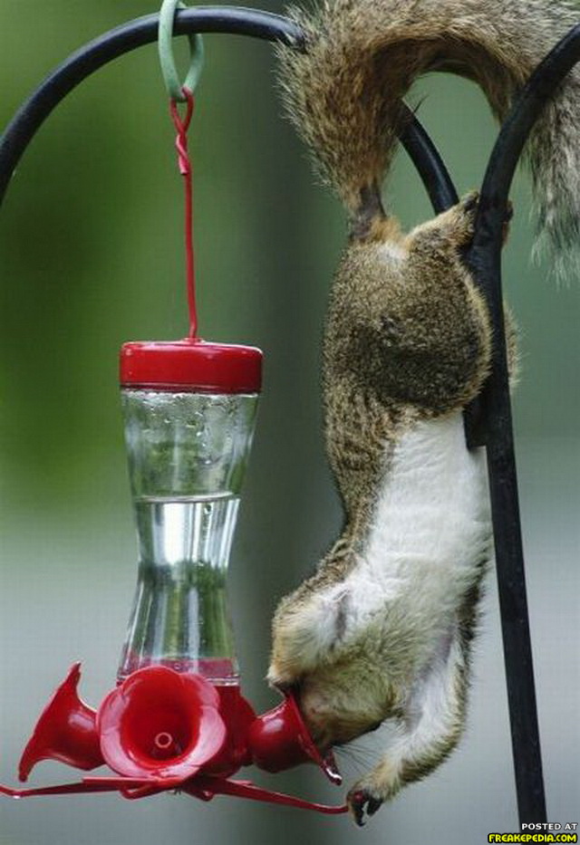 Best Funny Photos Ever That Make You Laugh