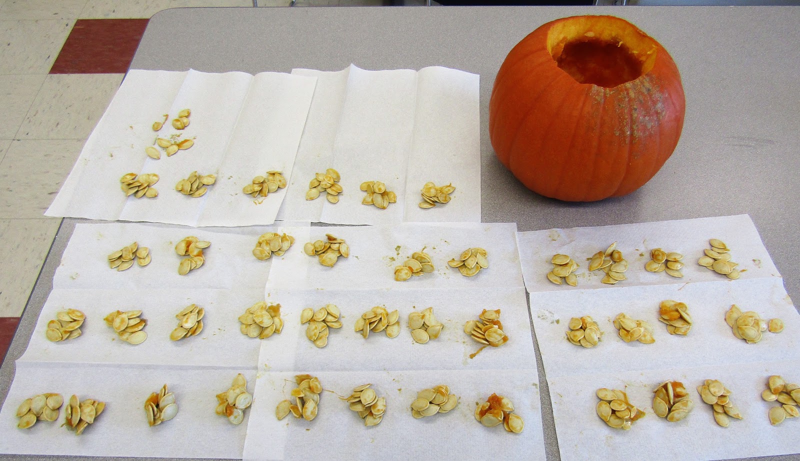 STEAM with Pumpkins