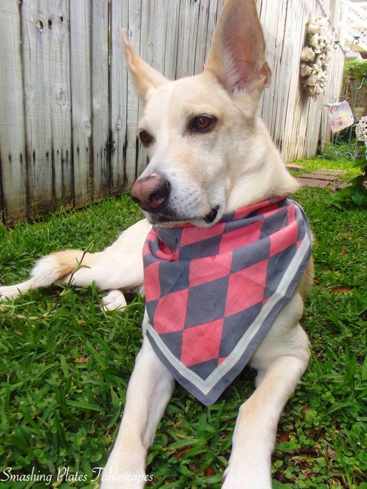 Smashing Plates Tablescapes: Call to Post