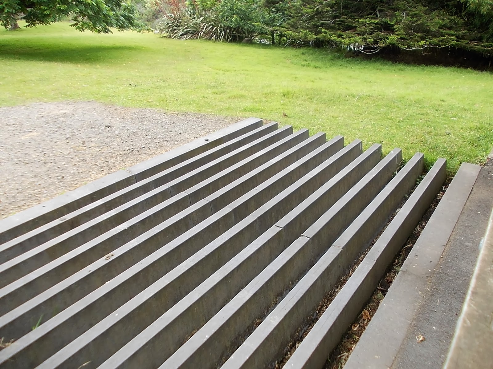 38. Exile in New Zealand: Cattle stop