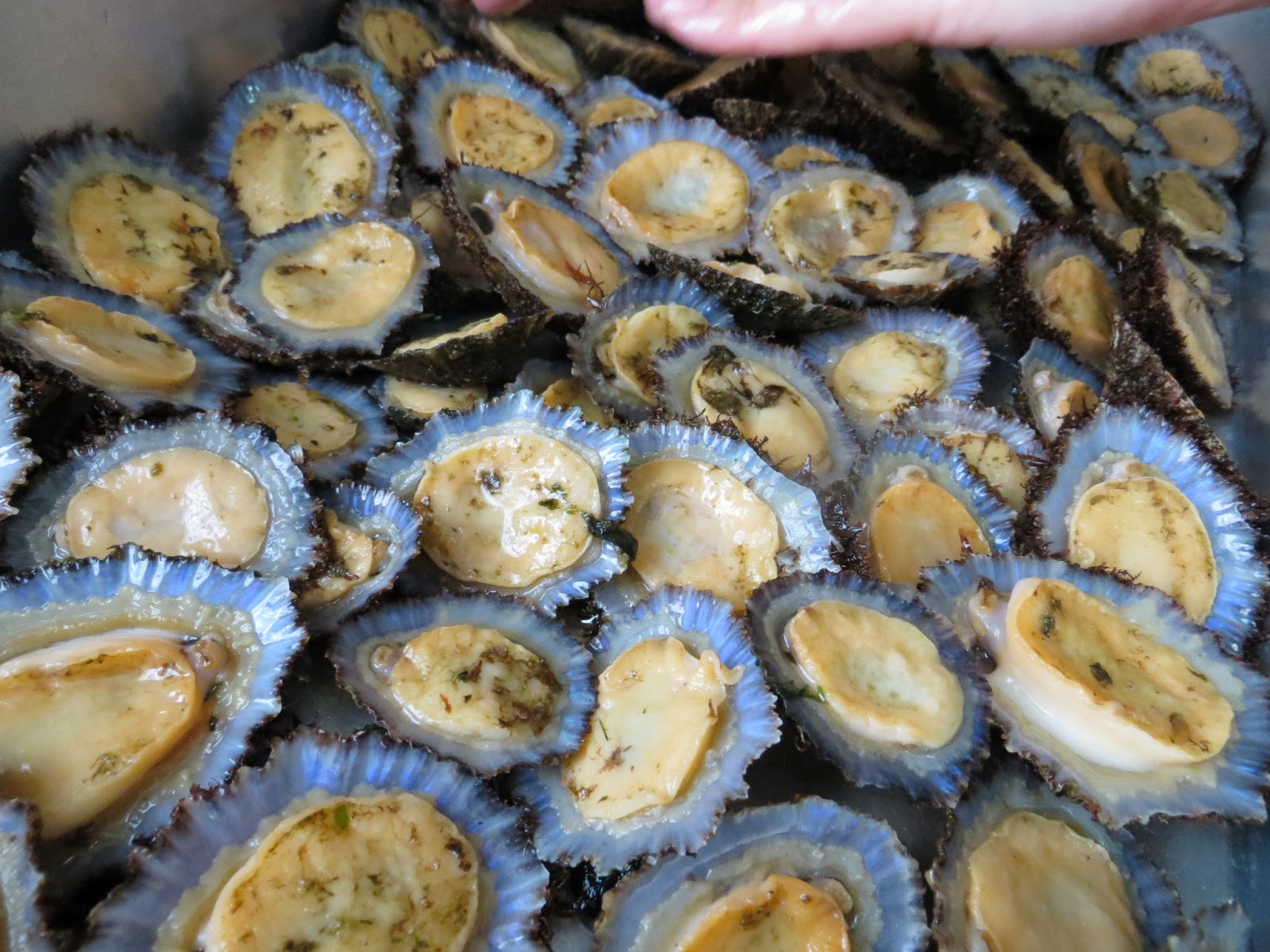 Fotografias do pequeno e do pormenor: Tabuleiro de Lapas Cruas da Ilha ...