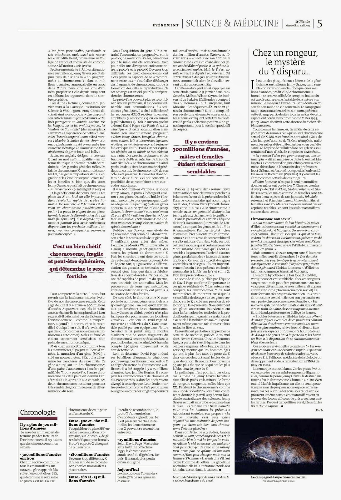 dadabe saina gasy par "mpirenireny ela": hromosome Y en sursis Le Monde ...