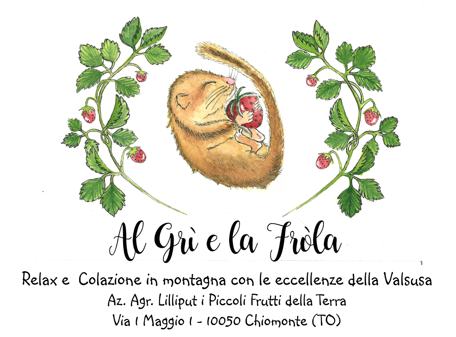 Azienda Agricola Lilliput i Piccoli Frutti della terra