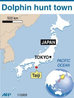 The Dolphin Slaughters of Taiji: A Conservation Tragedy