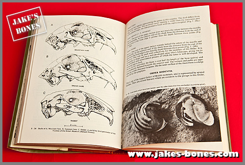Some great books on bone collecting : Jake's Bones